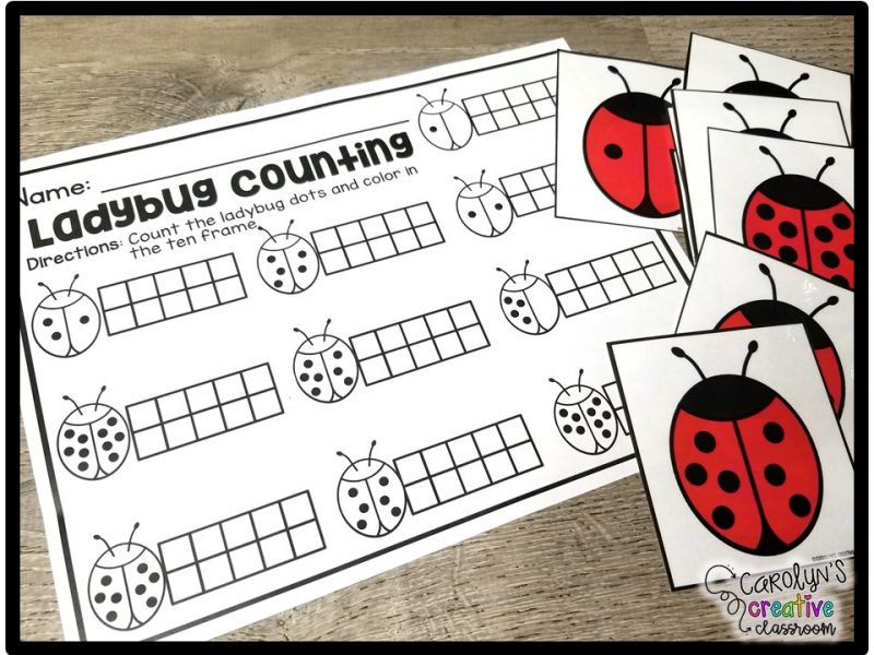 Number Sense and Counting Math Center | Math Bug Center | Ladybug ...