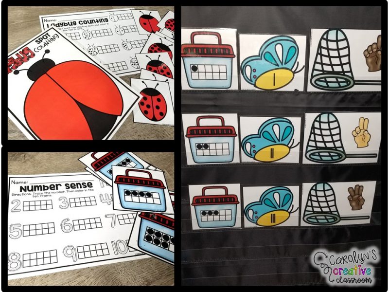 Number Sense and Counting Math Center | Math Bug Center | Ladybug ...