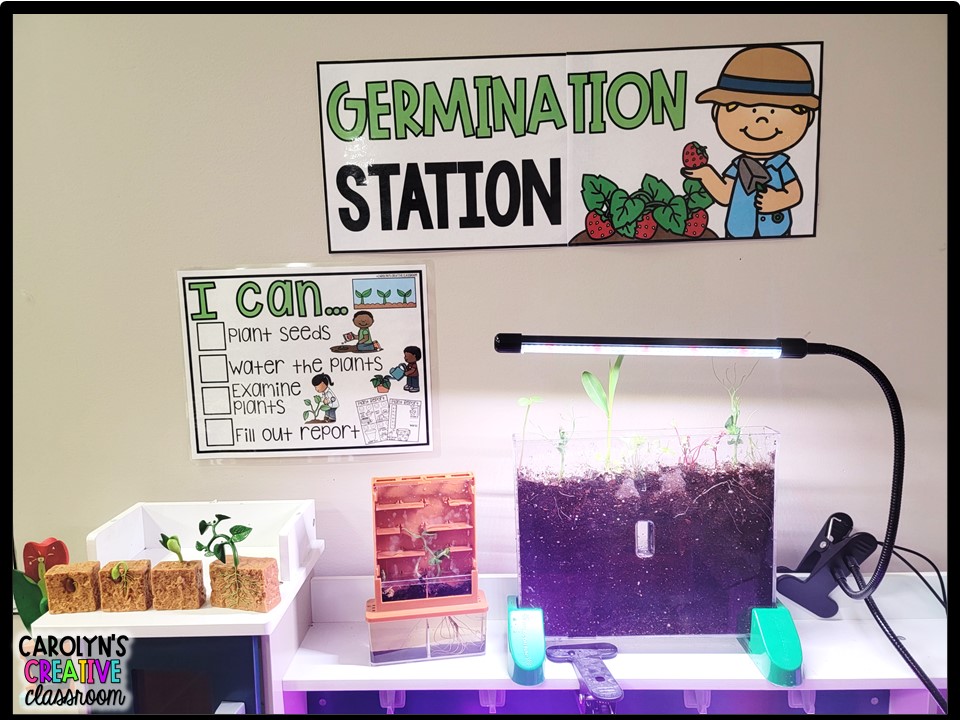 Plant Shop & Plant Nursery Dramatic Play – Carolyn's Creative Classroom