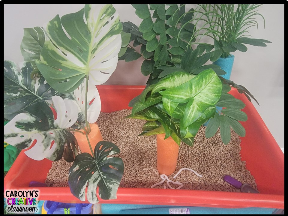 Plant Shop & Plant Nursery Dramatic Play – Carolyn's Creative Classroom