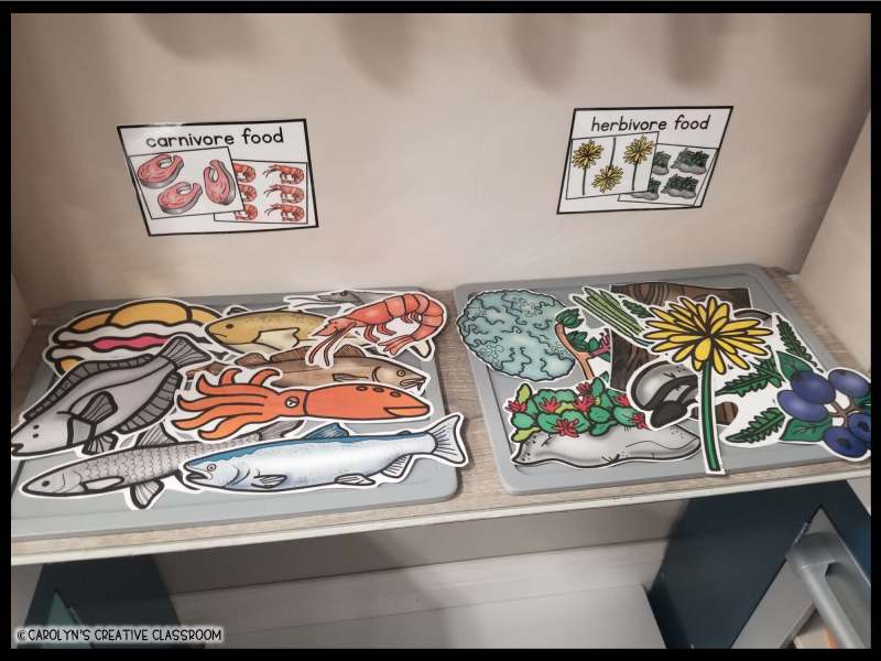 Animal Hospital and Zoo Dramatic Play [Winter Animals]