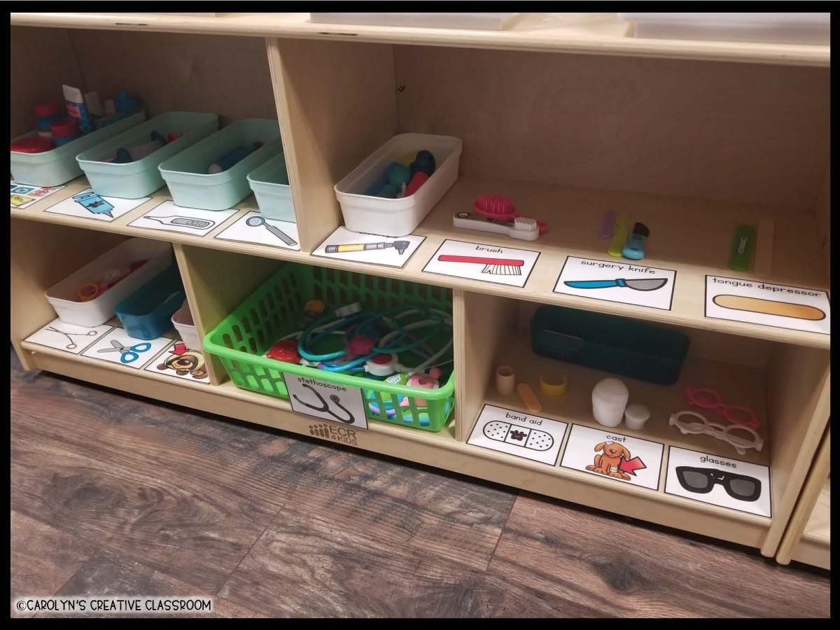 Animal Hospital and Zoo Dramatic Play [Winter Animals]