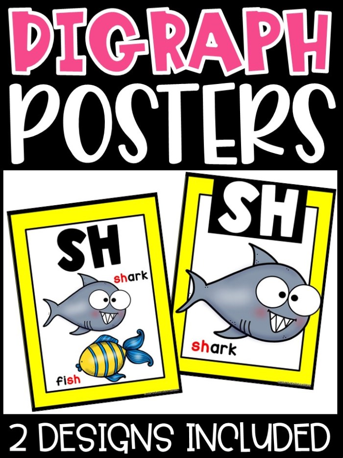 Bright Digraph Posters – Sound Wall Digraphs