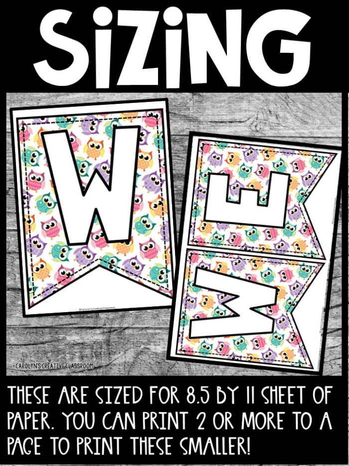 Editable Classroom Banners – Match Your Classroom Theme [Owls]