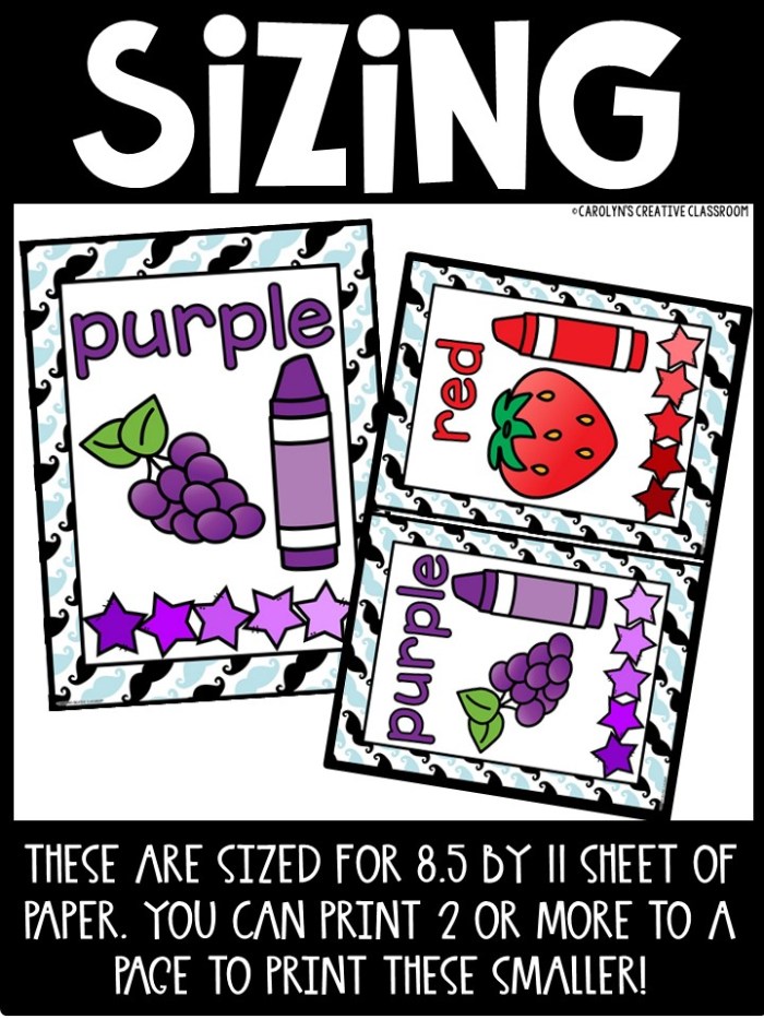 Mustache Color Posters | Classroom Decor