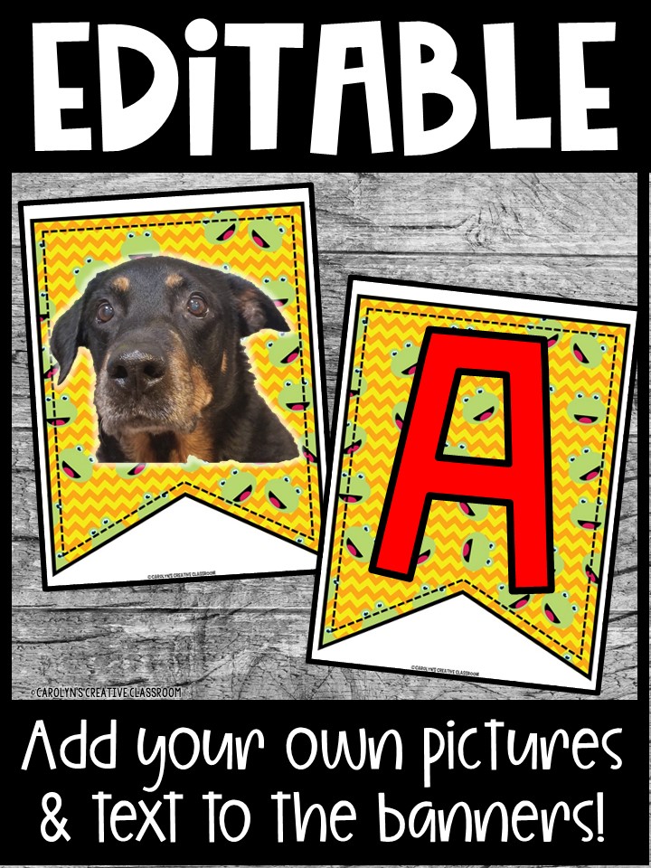 Editable Classroom Banners – Match Your Classroom Theme [Frogs 5]