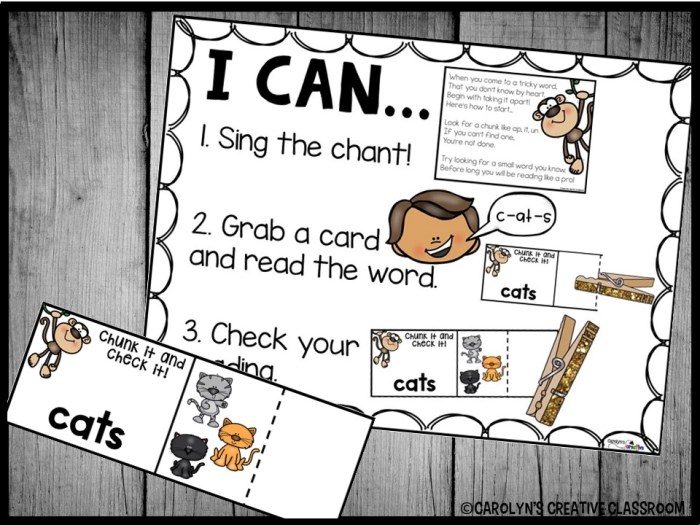 Chunky Monkey Reading Strategy [Decoding Strategy]