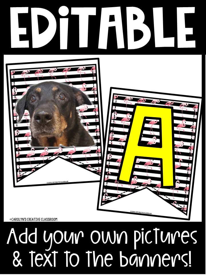 Editable Classroom Banners – Match Your Classroom Theme [Tropical ...
