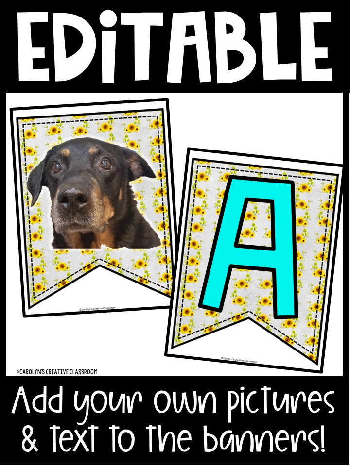 Editable Classroom Banners – Match Your Classroom Theme [Sunflower 1]