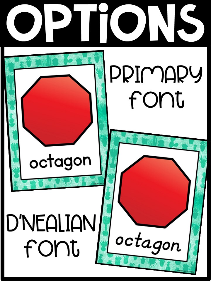 Shape Posters | Cactus 3 Classroom Decor