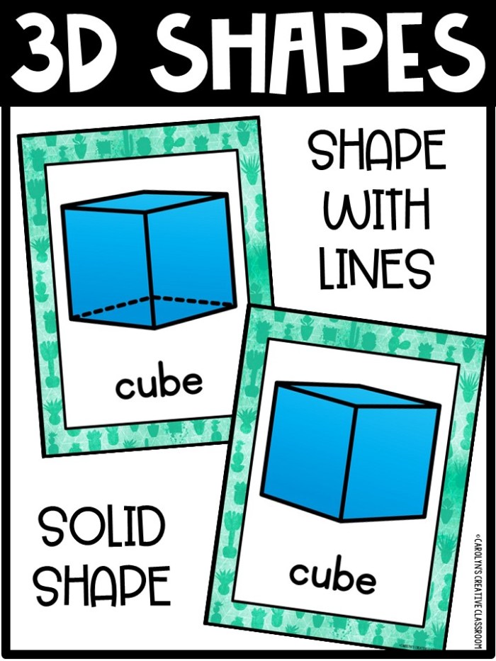 Shape Posters | Cactus 3 Classroom Decor