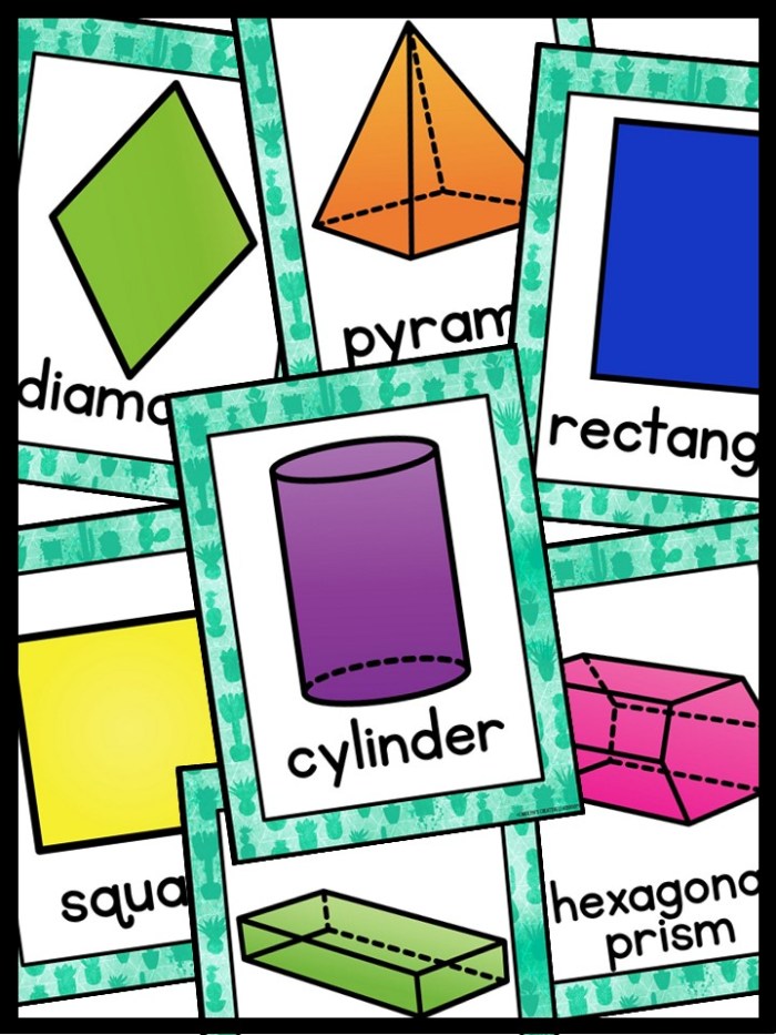 Shape Posters | Cactus 3 Classroom Decor