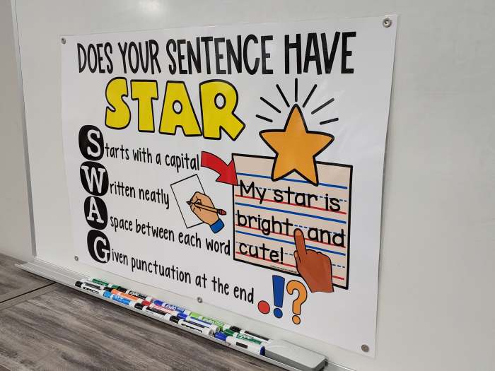 Does your Sentence have Star Swag? Anchor Chart [Hard Good] Option# 1