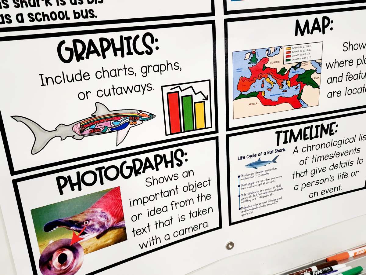 Nonfiction Text Features Anchor Chart [Hard Good] – Option 3