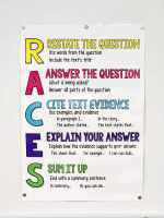 Races Anchor Chart [Hard Good] – Option #2