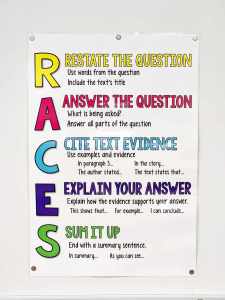 Races Anchor Chart [Hard Good] – Option #2