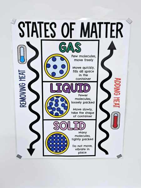 Science Anchor Chart