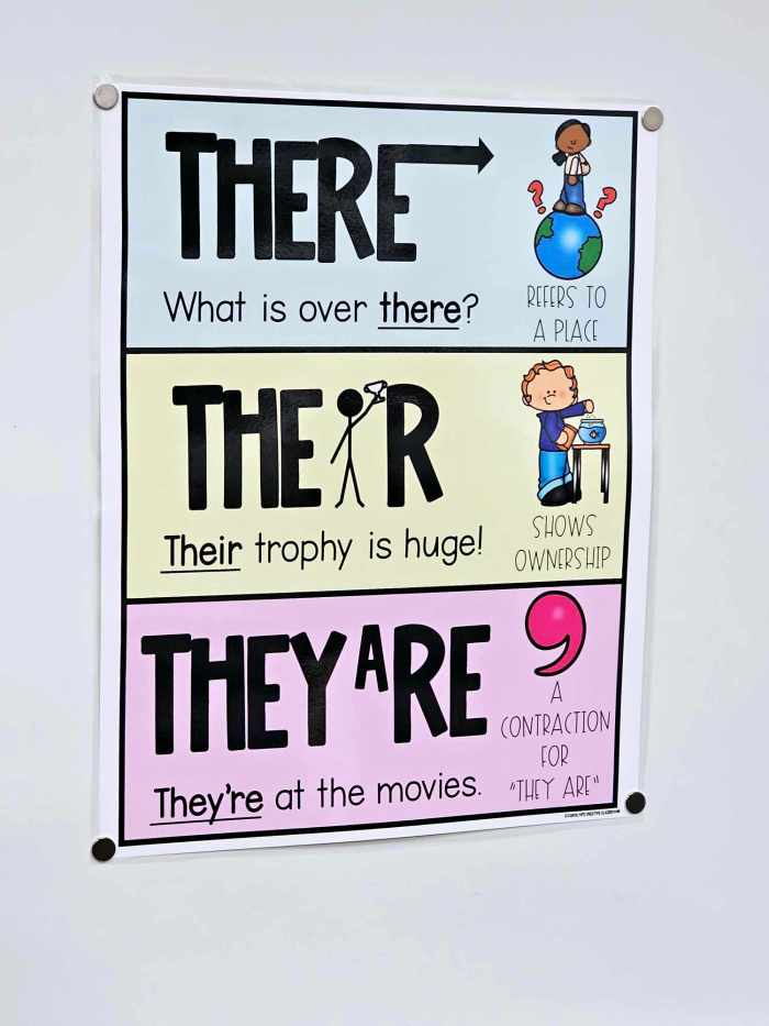 There, Their, and They’re Anchor Chart [Hard Good] – Option #2