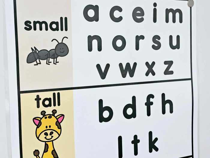 Small Tall Fall Anchor Chart [Hard Good] – (DOLPHIN) Option #5