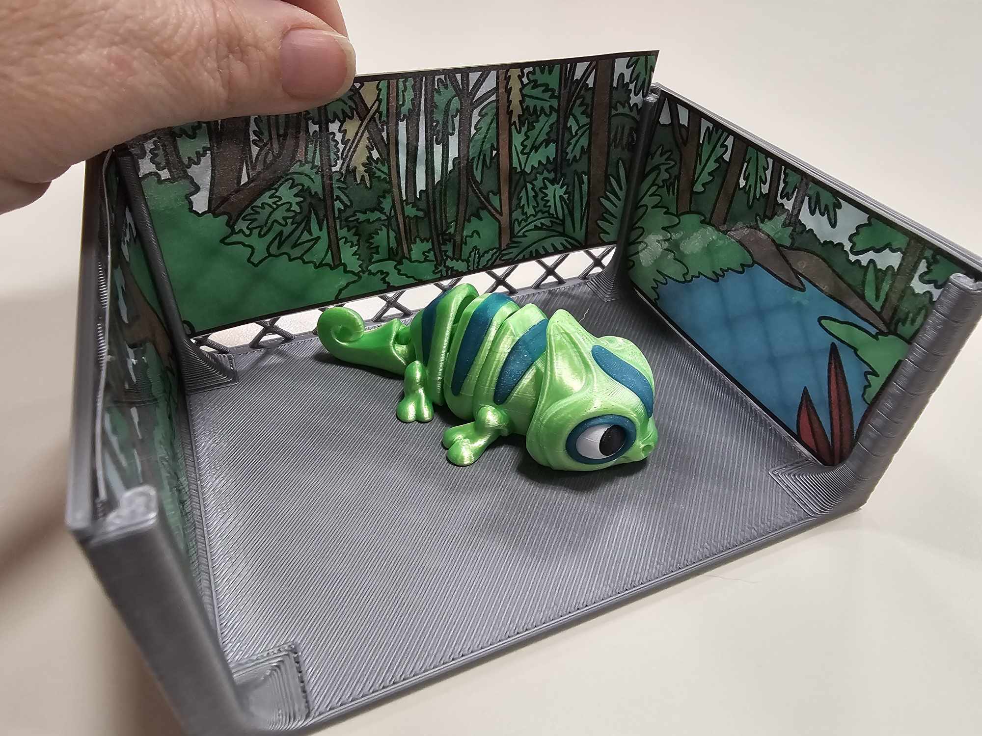 Backgrounds for Critter Cages (laminated, cut out, and ready to use!)