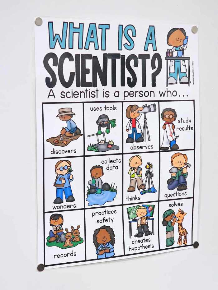 What is a Scientist? Anchor Chart [Hard Good] – Option 1