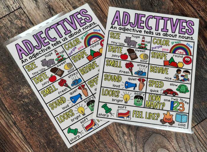 MINI Anchor Charts: Adjectives