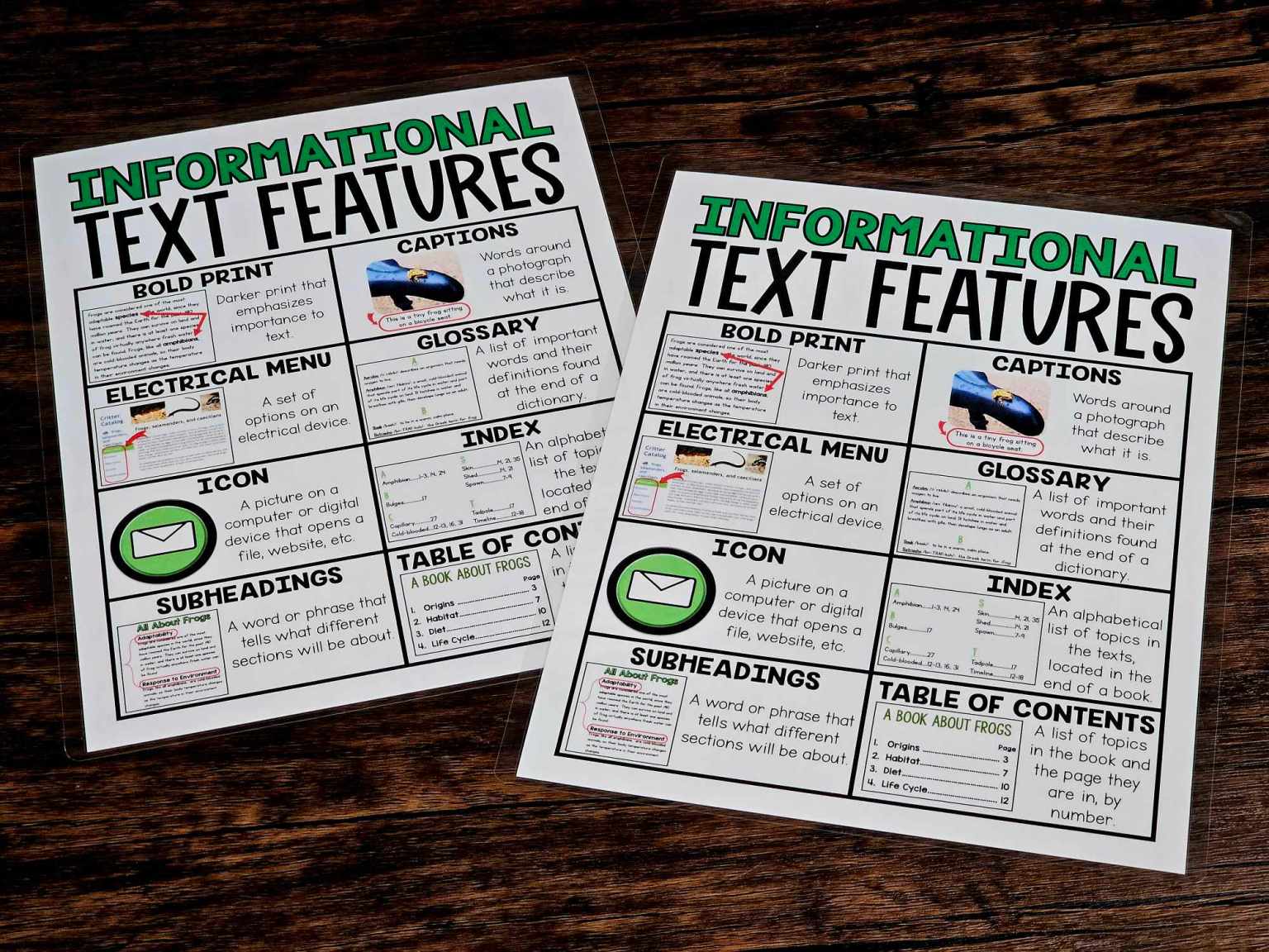 MINI Anchor Charts: Informational Text Features