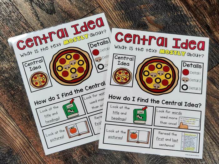 MINI Anchor Charts: Central Idea