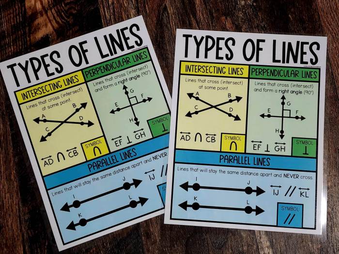 MINI Anchor Charts: Types of Lines – Option #4