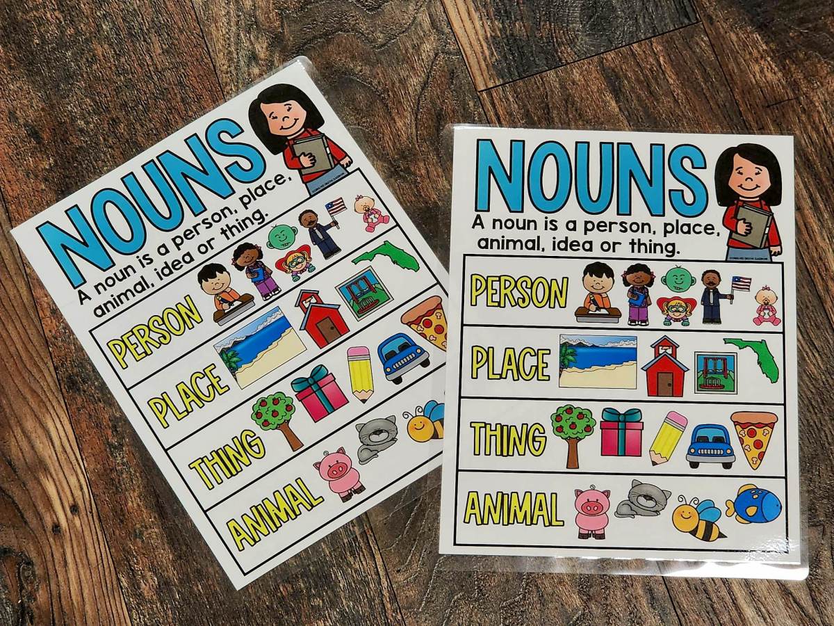 MINI Anchor Charts: Noun #3