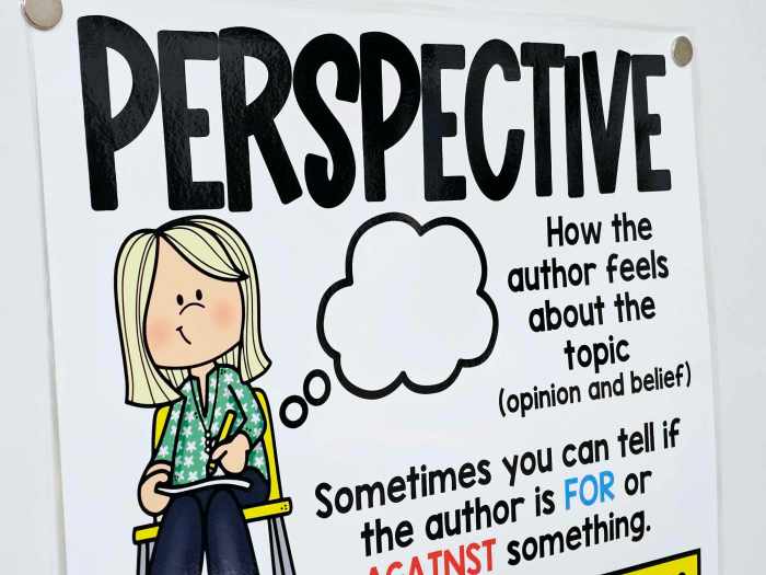 Author’s Perspective Anchor Chart [Hard Good] – Option #1