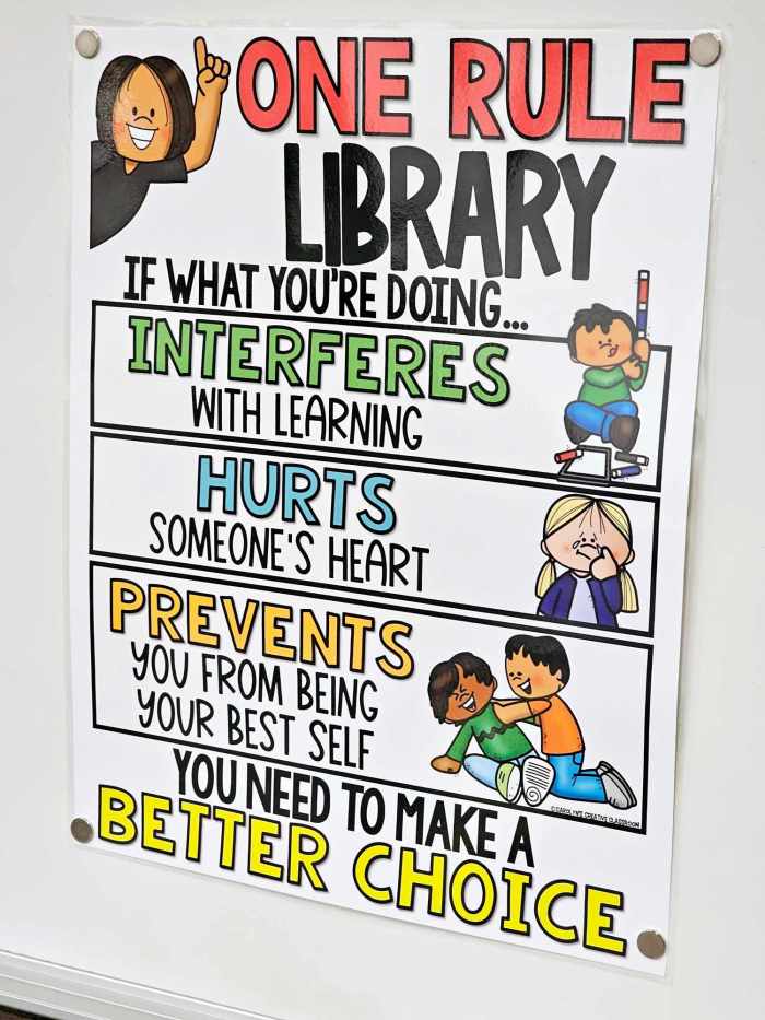 One Rule LIBRARY Anchor Chart [Hard Good] – Option #1