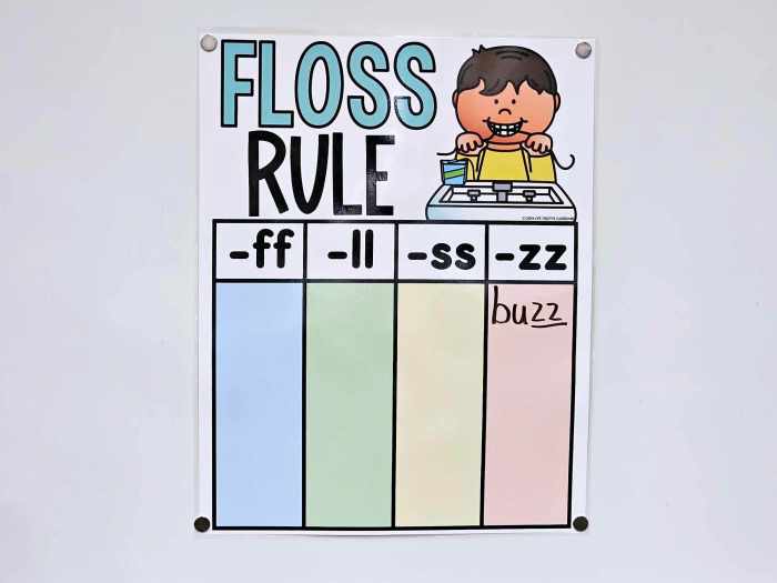 Floss Rule (-ff, -ll, -ss, -zz) Anchor Chart [Hard Good] – Option #1 Blank