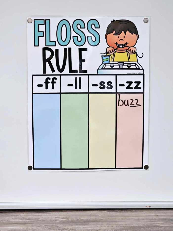 Floss Rule (-ff, -ll, -ss, -zz) Anchor Chart [Hard Good] – Option #1 Blank