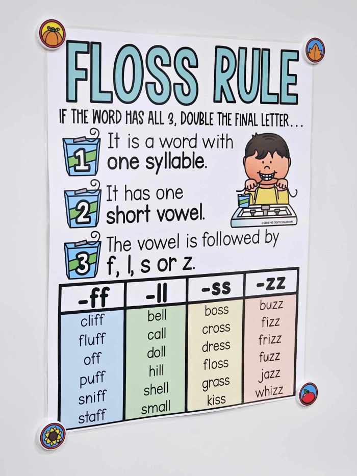 Floss Rule (-ff, -ll, -ss, -zz) Anchor Chart [Hard Good] – Option #4