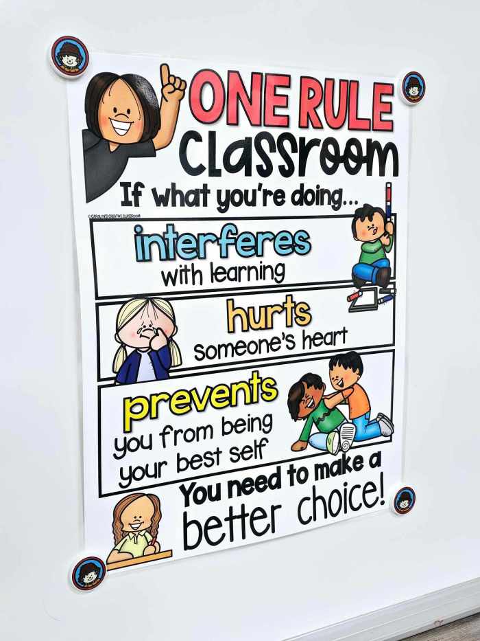 One Rule Classroom Anchor Chart [Hard Good] – Option #2 (Lowercase version)
