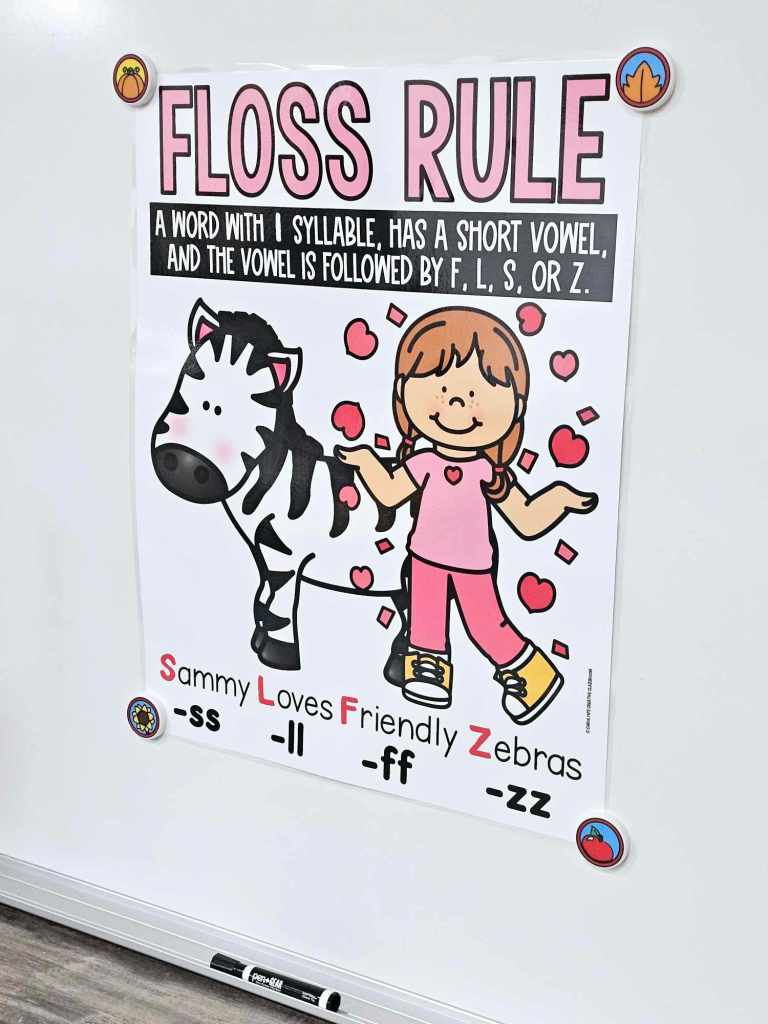 Floss Rule (-ff, -ll, -ss, -zz) Anchor Chart [Hard Good] – Option #5 ...