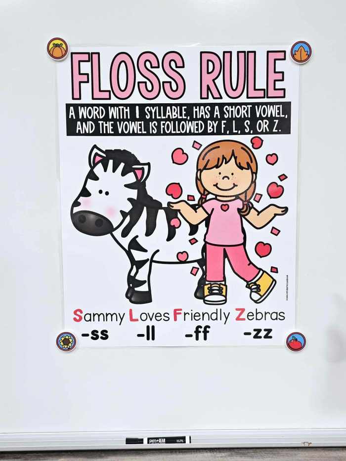 Floss Rule (-ff, -ll, -ss, -zz) Anchor Chart [Hard Good] – Option #5 ...