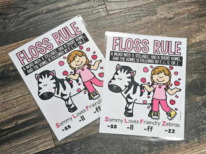 MINI Anchor Charts: Floss Rule – Option #5