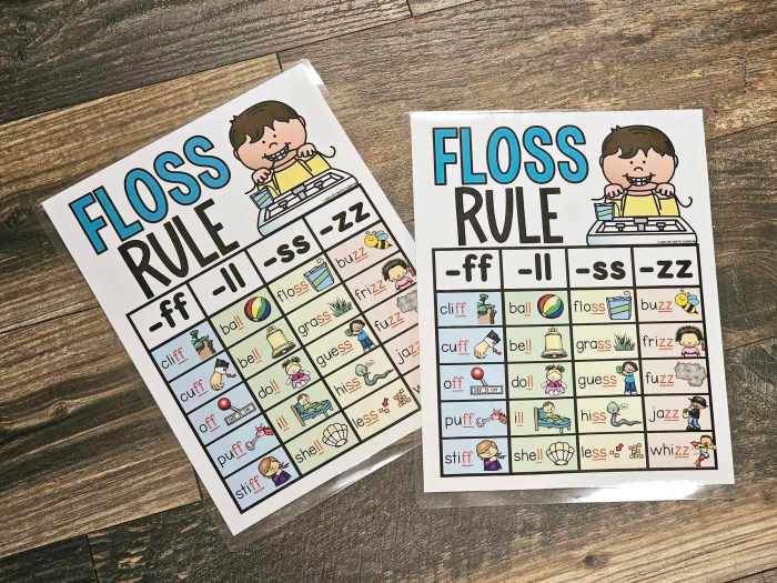 MINI Anchor Charts: Floss Rule – Option #2