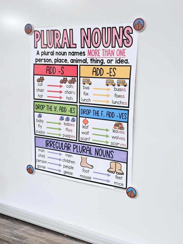 Plural Nouns Anchor Chart [Hard Good] – Option 1 (with pictures)