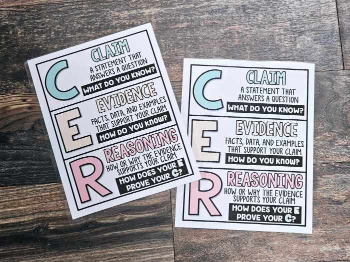 MINI Anchor Charts: CER
