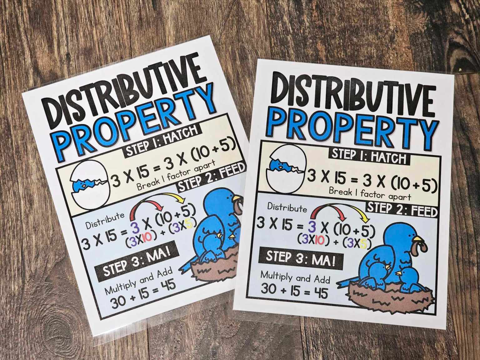 MINI Anchor Charts: Distributive Property