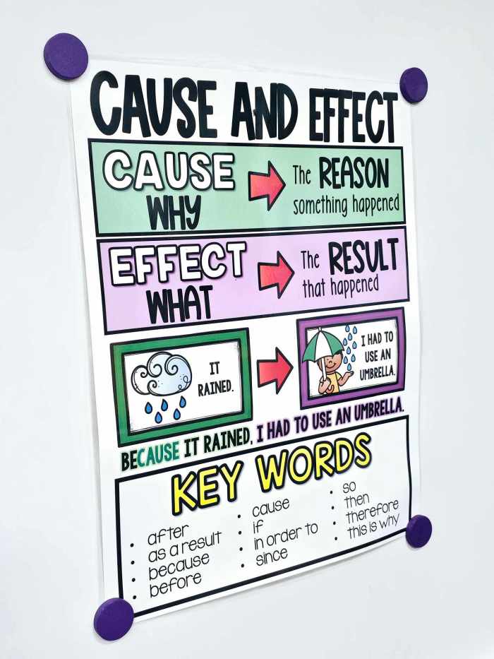Cause and Effect Anchor Chart [Hard Good] – Option 1