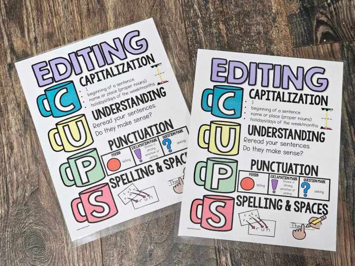 MINI Anchor Charts: Editing Cups