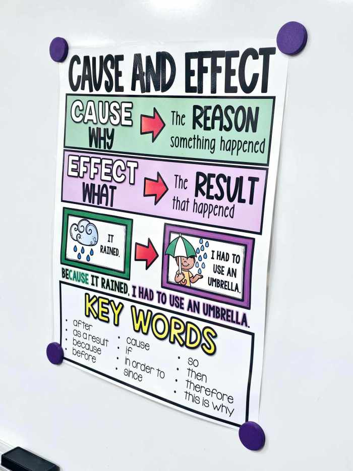Cause and Effect Anchor Chart [Hard Good] – Option 1