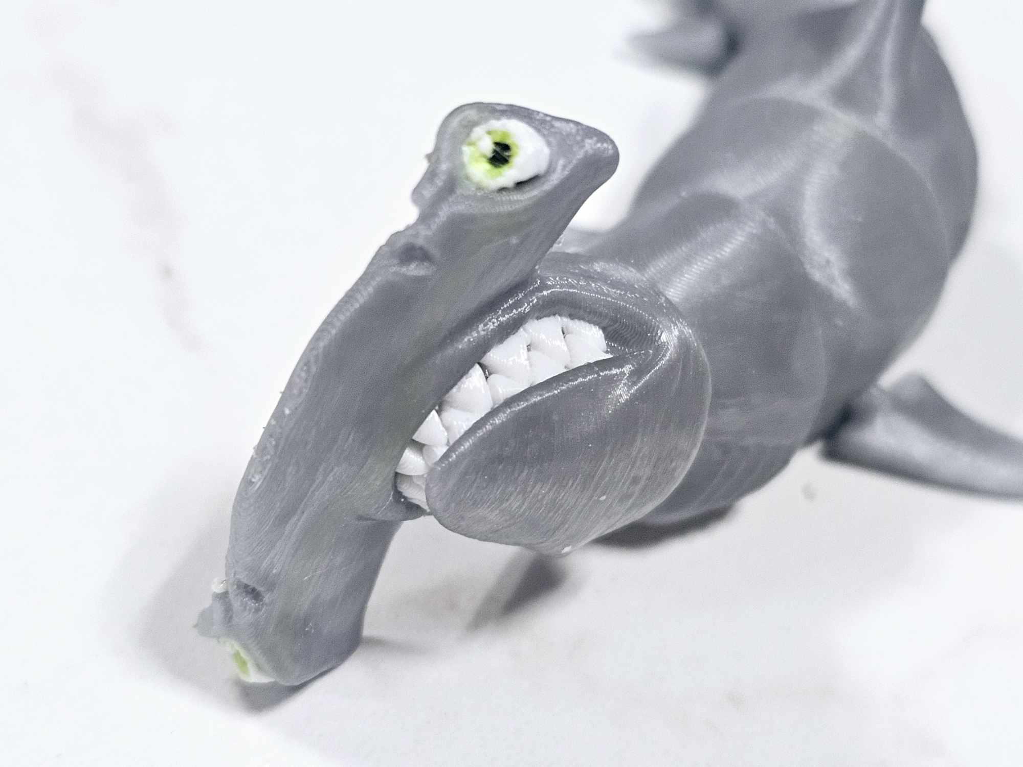 Carolyn’s Classroom Critters: Hammerhead Shark