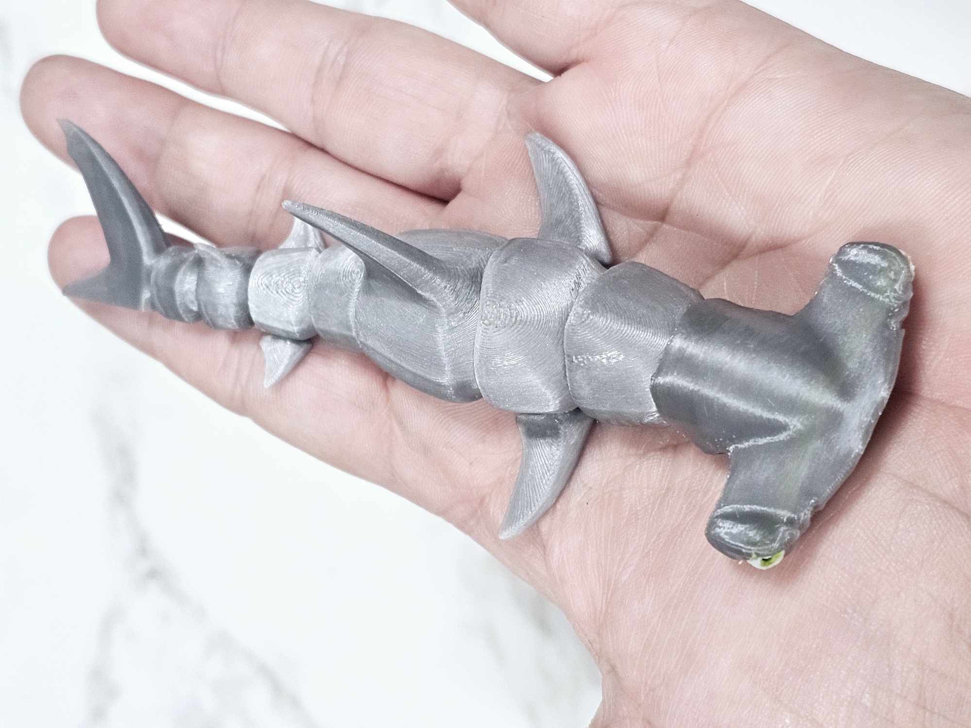 Carolyn’s Classroom Critters: Hammerhead Shark