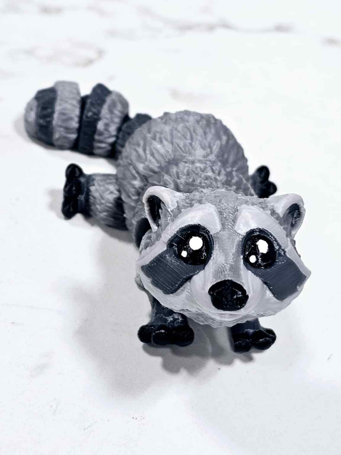 Carolyn’s Classroom Critters: Raccoon