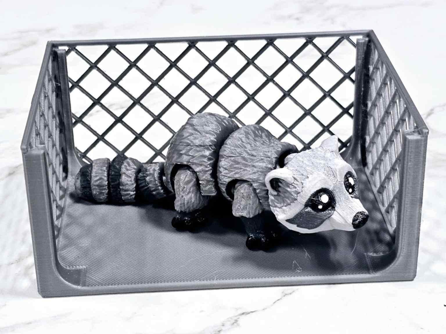Carolyn’s Classroom Critters: Raccoon